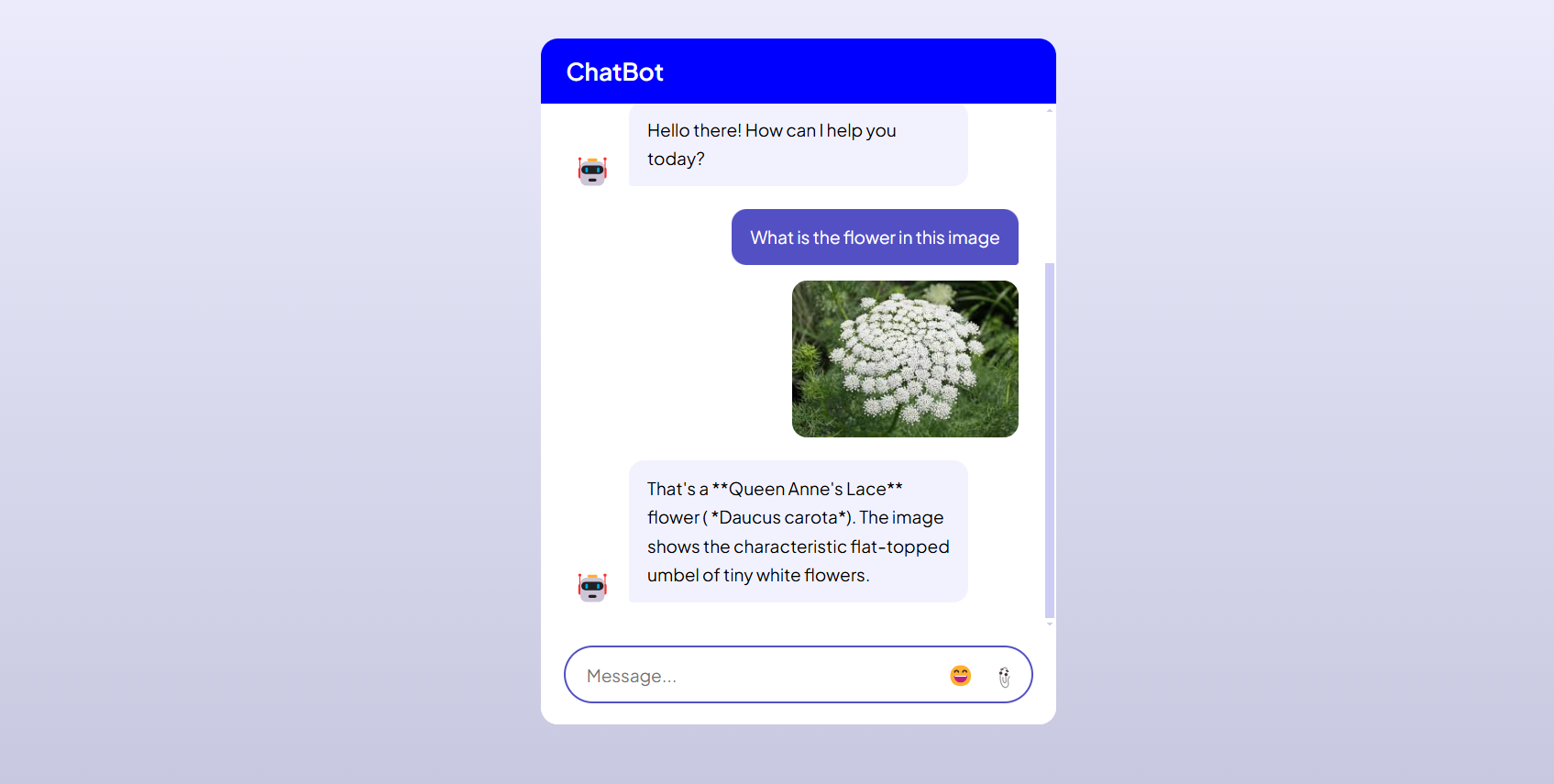 Sandewdi Nowanaya - Web Developer Portfolio